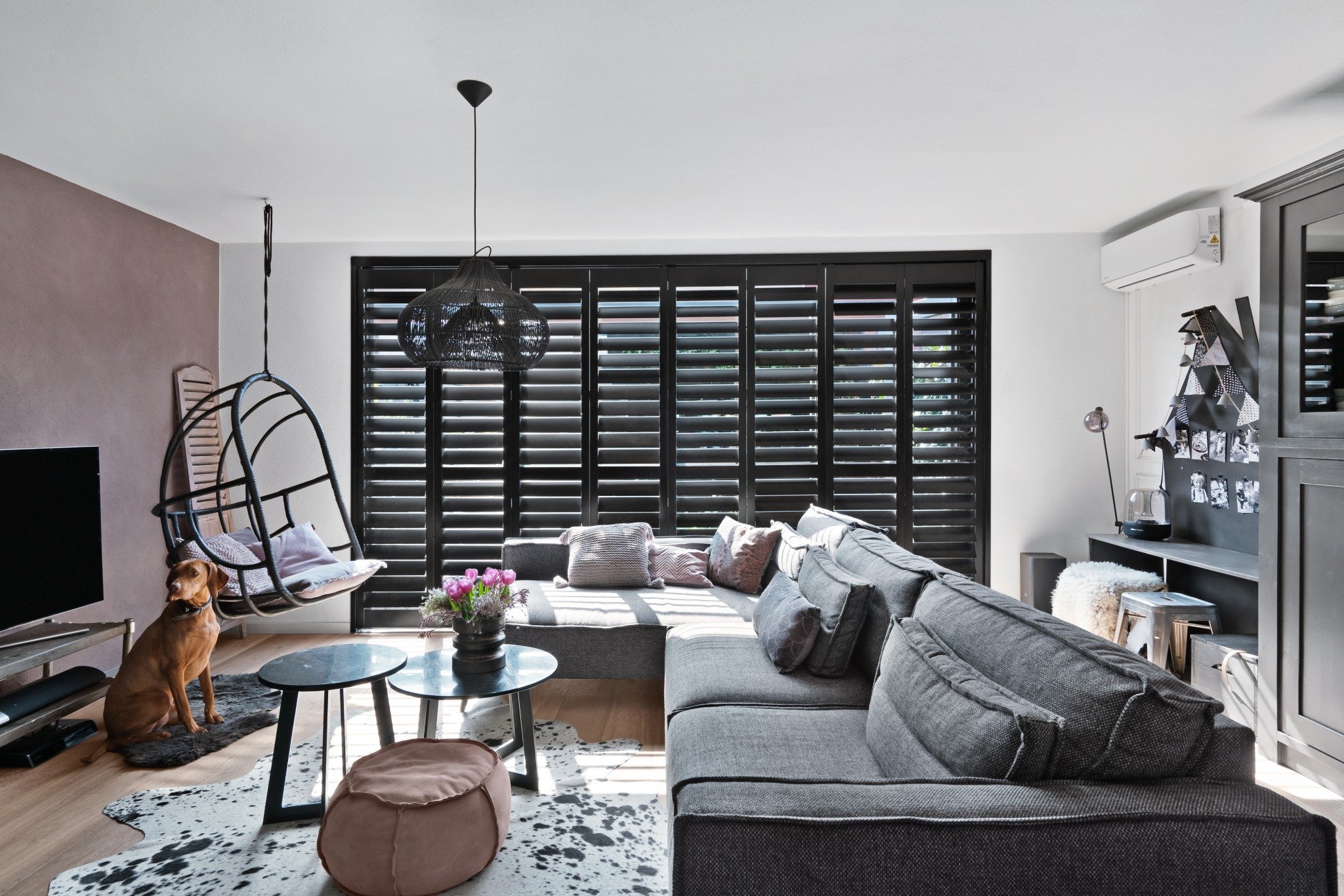 Looking for black shutters? - MYT Shutters